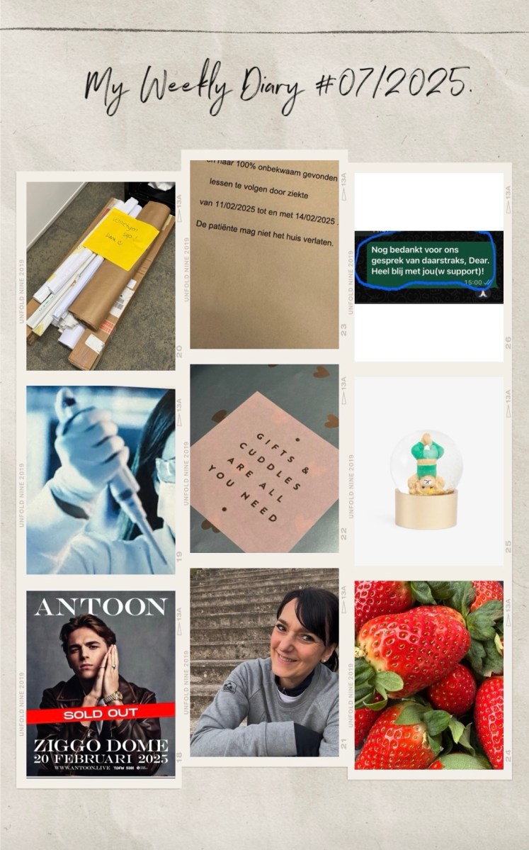 My Weekly DIARY #07/2025. – Forever38.com